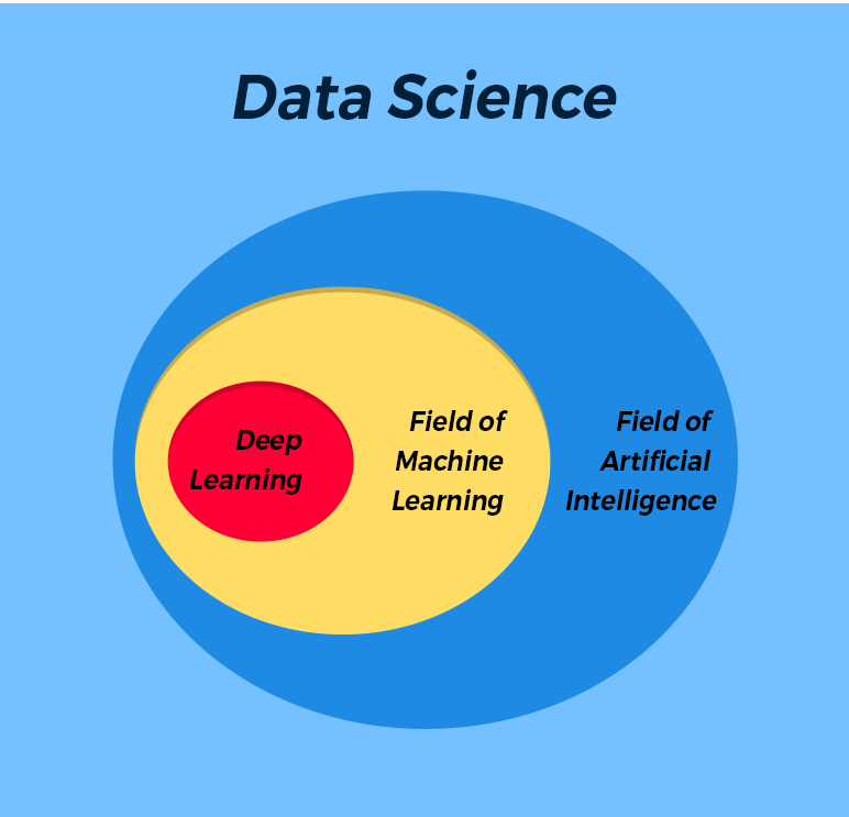 Ivy Professional School | Official Blog A complete guide to Data ...