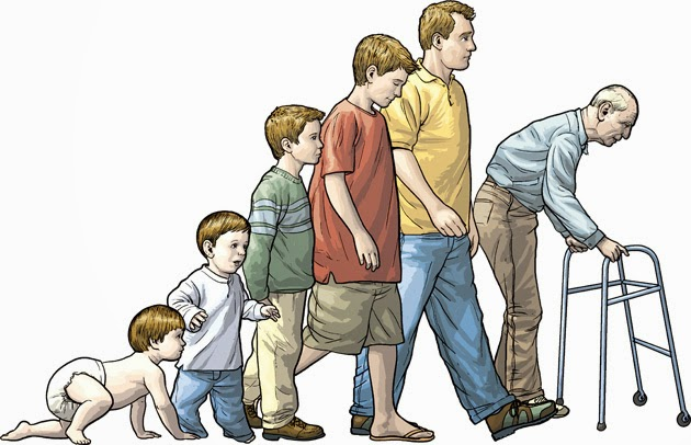 Ivy Professional School | Official Blog Top 5 Data Science Use Cases ...